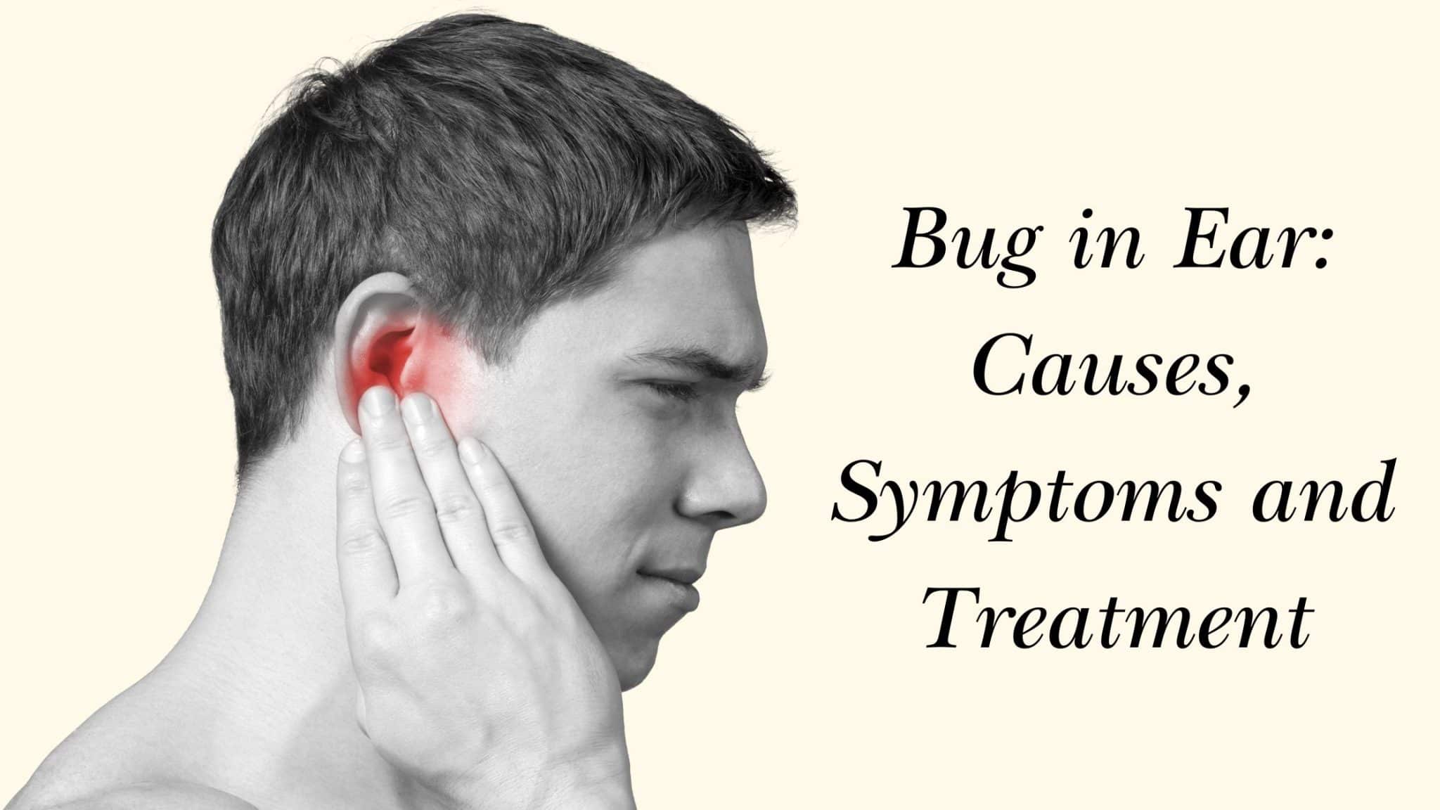 Bug in Ear: Causes, Symptoms and Treatment